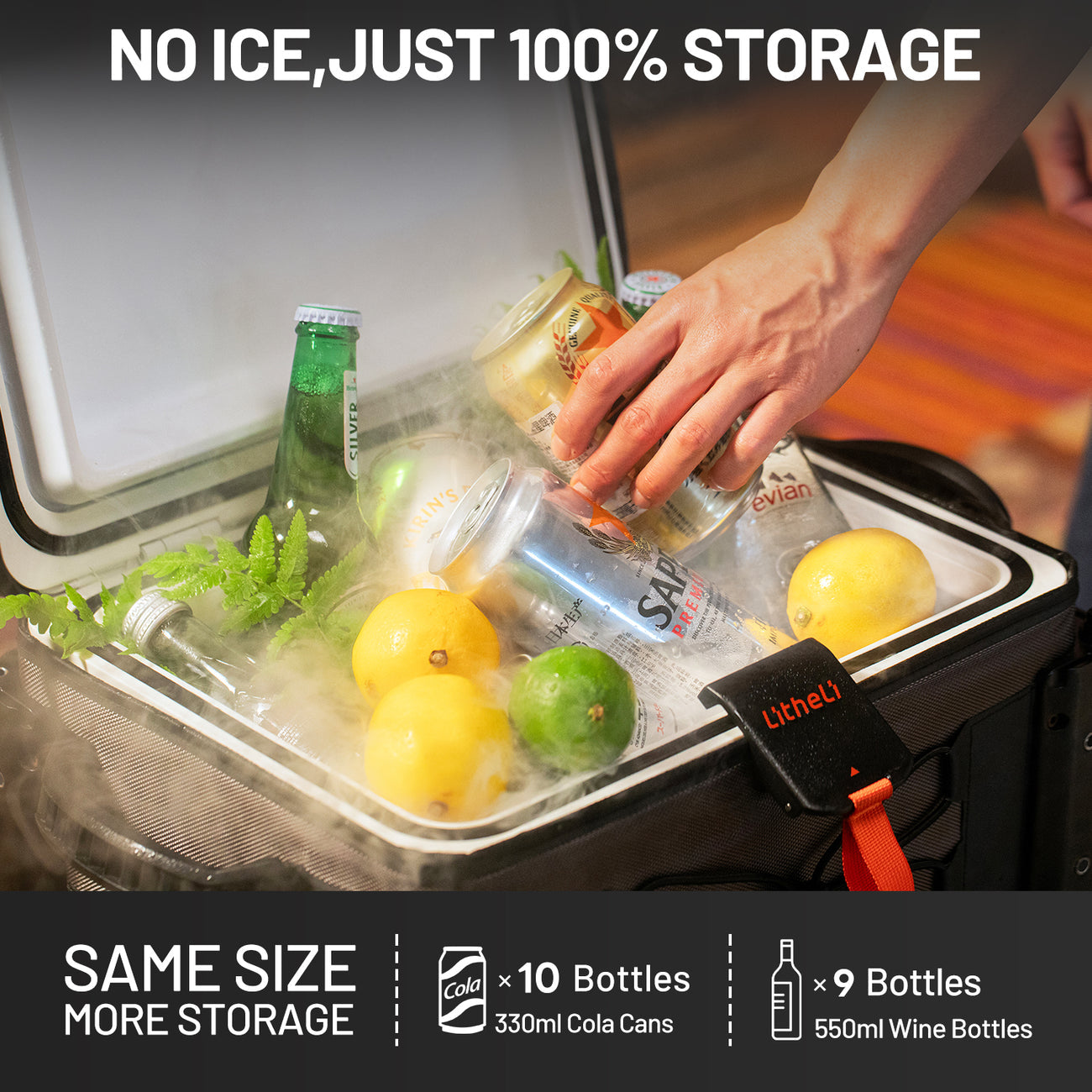 Litheli FrozenPack Portable Fridge Dual Battery - Grey – Future Store